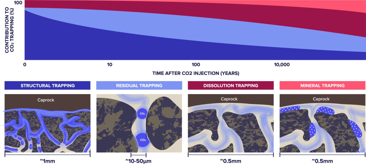 6. Appendices – Global Carbon